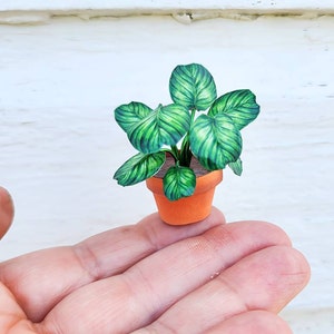 Dollhouse Miniatures Plants Printable 1:12 Scale. 13 Different, Paper ...