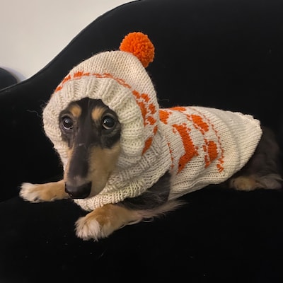 Personalized Dog Sweater With Initials Dog Clothes With - Etsy