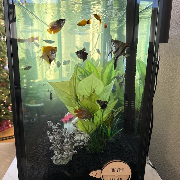 Fun Custom Swivel Sign for Kid's Bedroom Door Do Not Enter Personalized ...