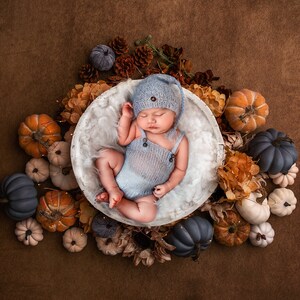 Fall Digital Backdrop, Newborn Digital Backdrops, Digital Backgrounds ...