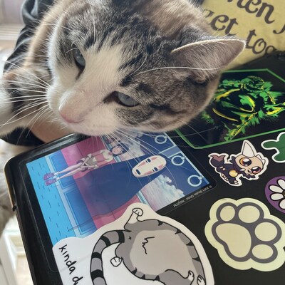 Mlem Cat Novelty Meme Mug - Etsy