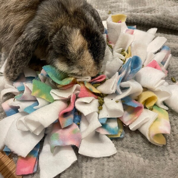 SMALL Burnt Orange Snuffle Mat for Dogs - Enrichment Mat - Rooting Rug ...