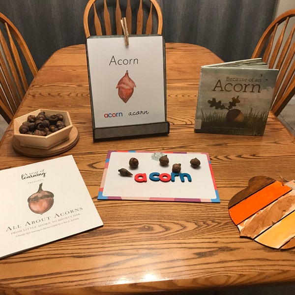 Spring With Peter Rabbit Learning Collection - Etsy