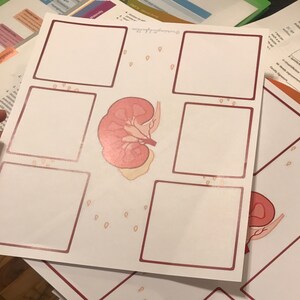 Pathophysiology Note Taking Template Multi Color | Etsy