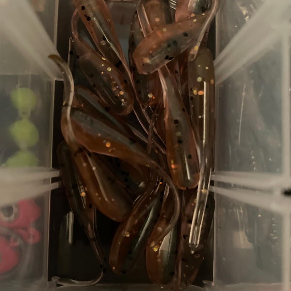 STS 2.5 Crappie Tracer Shad Soft Plastic Fishing Bait -- Bad Shad - Etsy