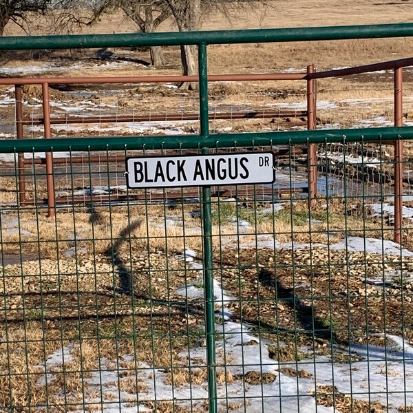 Black Angus Sign, Cow Sign Cattle Sign Farm Sign Cow Gift Cow Lover ...