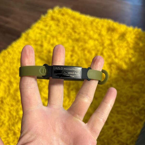 Cat Tags - Slide on Pet Tag - Custom Slide on Cat Id Tag - Cat Name Tag ...