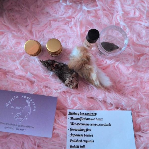 Freeze Dried Yak Feet (for One) - Taxidermy Yak, Deer Antlers ...