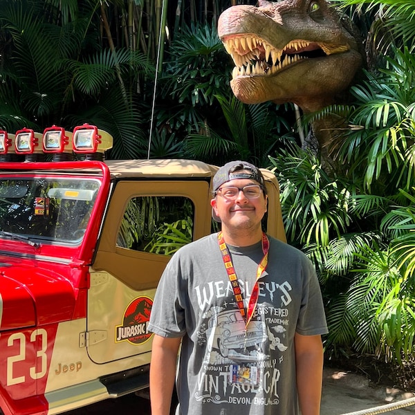 Wizard Flying Car Comfort Colors Shirt, Vintage Style Weasley Car Tee ...