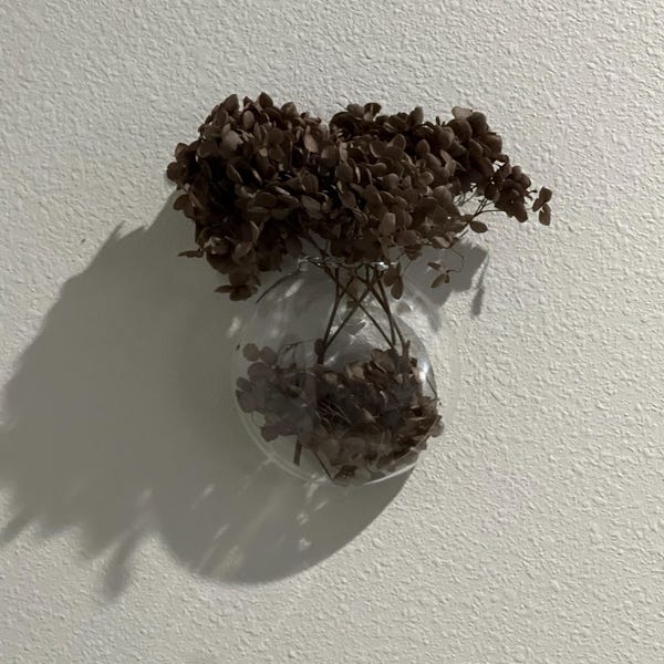 Orange Preserved German Statice, Limonium Dried Flower, Crystal Flowers ...