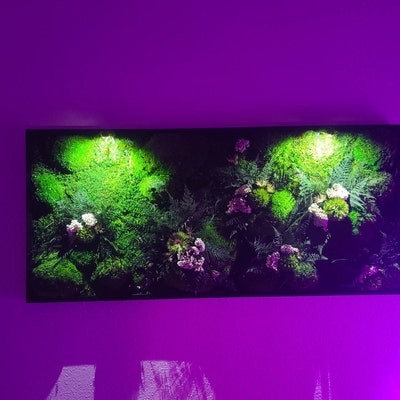 Beautiful Preserved Moss Artwork With LED Lights Live Moss LED Wall Art ...