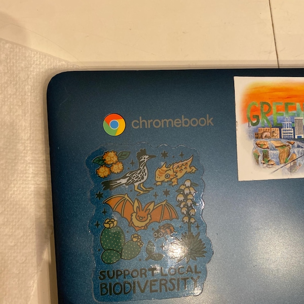 Support Local Biodiversity Clear Vinyl Stickers | Appalchia, Midwest ...