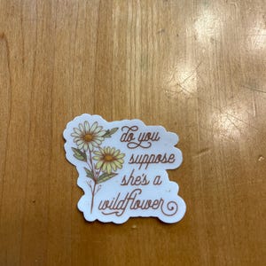 Flynn Rider Wanted Poster Transparent Stickers/ Princess Rapunzel ...