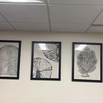 Neutral Coastal Wall Art, Set of 3 Beach Prints, Modern Abstract Beach ...