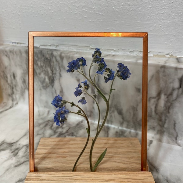 Fern, Pressed Floating Flower Frame, Framed Pressed Flowers, Gift for ...