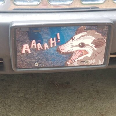 Funny Possum License Plate Screaming Possum License Plate Possum Front ...