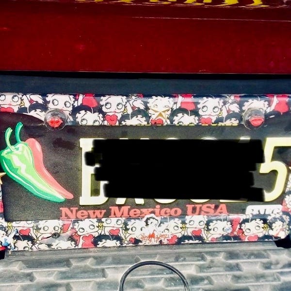 Snoopy and Woodstock 3D License Plate Frame by Mamazooka Designs (best ...