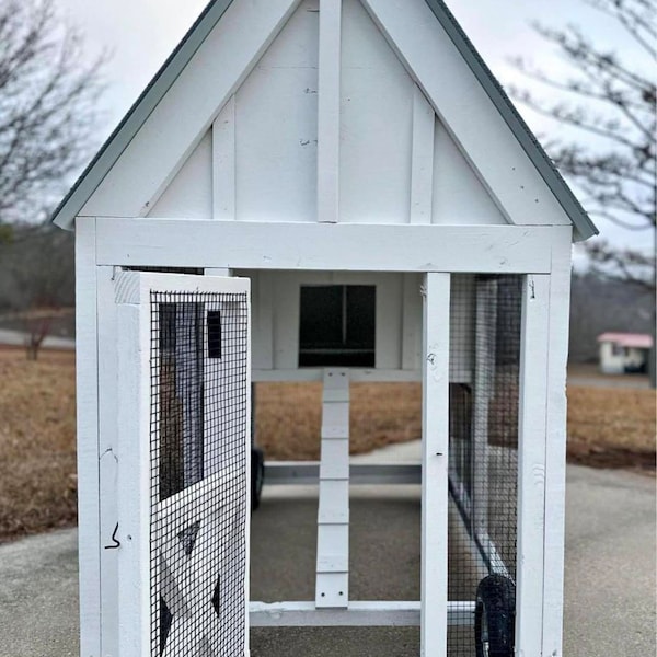 RUBY RED HIBISCUS Seeds *free Shipping!* Fresh & Organic Hibiscus ...