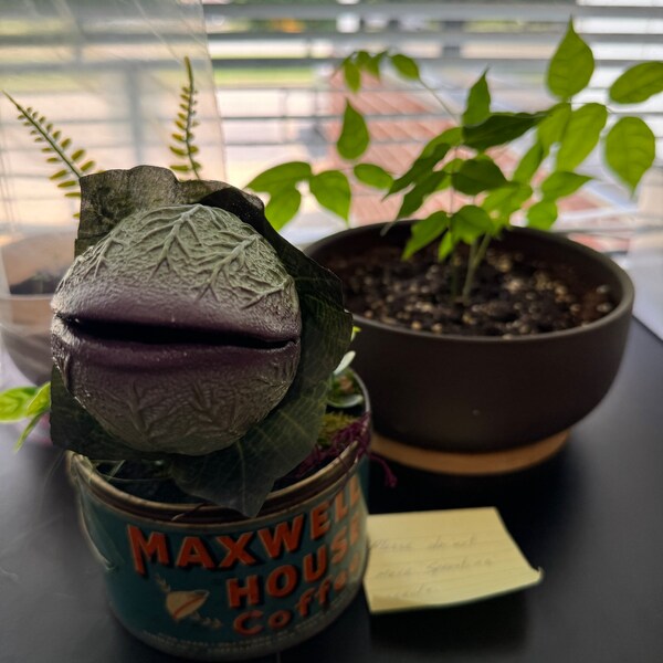 Over 2 1/2 Foot Extra Large Audrey 2 Replica Movie Prop Little Shop of ...