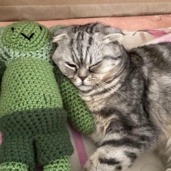 Crocheted JAKE Hat From Adventure Time Beanie Handmade - Etsy