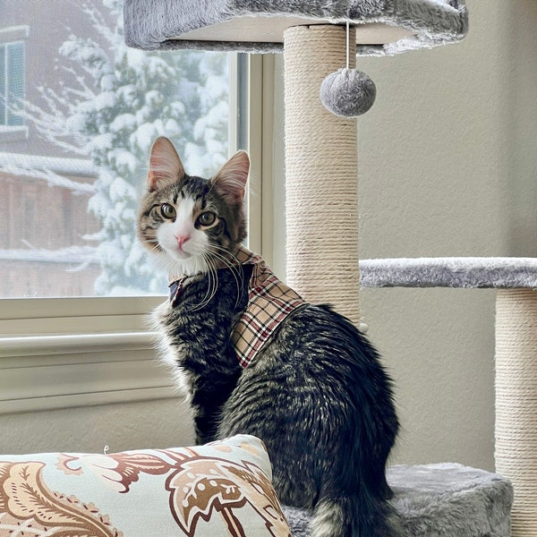 HARRIS TWEED Limited Edition Ready Made Cat Harness/walking Jacket by ...