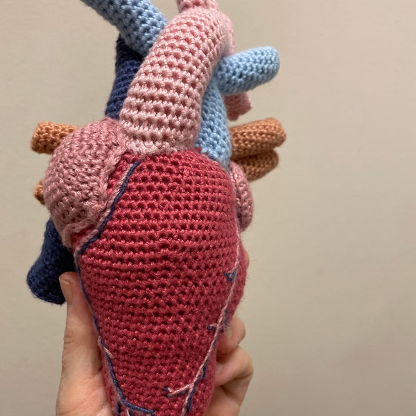 Anatomical Heart CROCHET – PATTERN PDF English - Etsy
