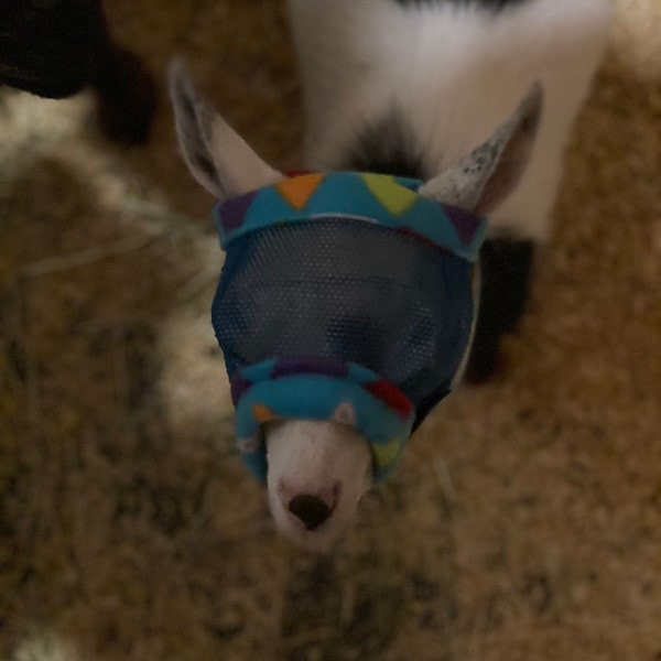 Goat/sheep Fly Masks - With & W/o Horns - Dual Adjustable - Made to ...