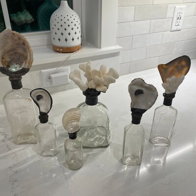 Sea Fan Coral Crystal Shell Shadow Box Wall Art - Etsy