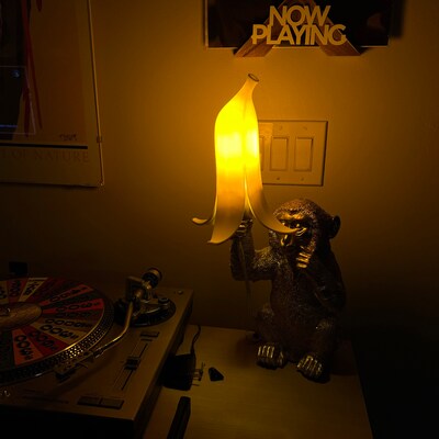 Compact 3D Printed Splendor Game Organizer Customizable Color Inserts ...