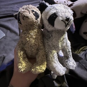 TY Beanie Baby princess the Bear That Honors Princess Diana. New, Never ...