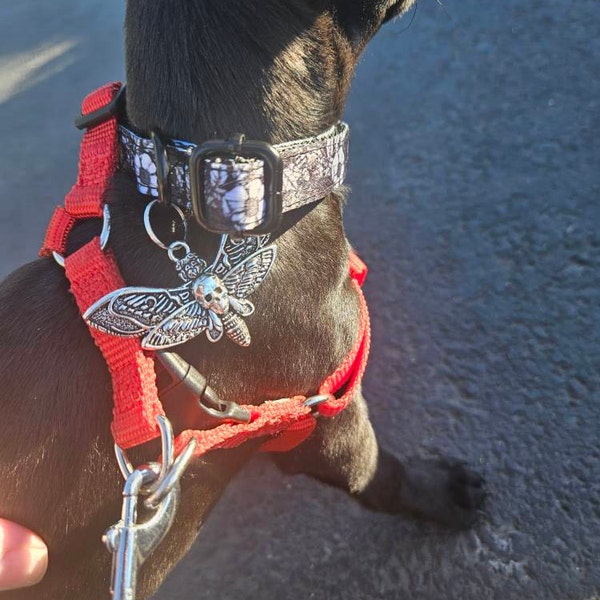 Death's Head Hawkmoth Dog Collar: Gothic Floral Nylon Fabric ...