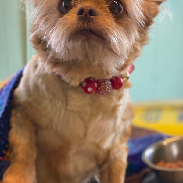 Customized "peppermint Patty" Pet Necklace - Etsy