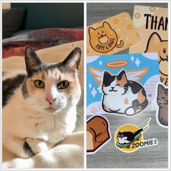 Cream Siamese Cat Loaf Sticker; Flamepoint; Waterproof Dishwasher Safe ...