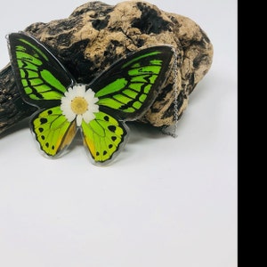 Mini Daisy Pressed Flowers Pack of 25 1/2 7/8 Inch Diameter Yellow ...