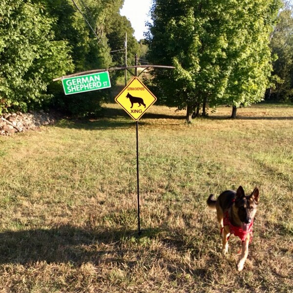 GERMAN SHEPHERD Xing Metal Caution Yellow Dog Crossing Sign 6"x6" or 12 ...