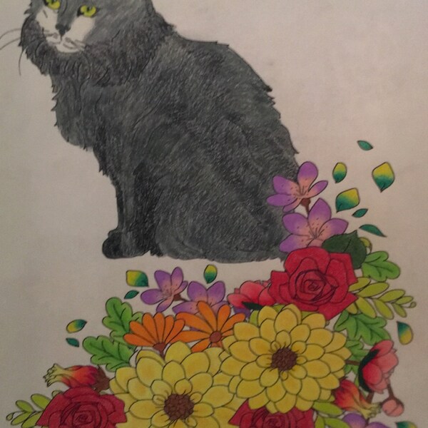 Australian Wildflower Colouring Page, Golden Wattle Printable, Native ...