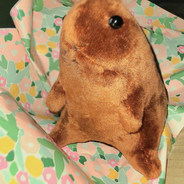 Stuffed Animals - Mola Mola Ocean Sunfish - Mola Fish Stuffed Toy ...
