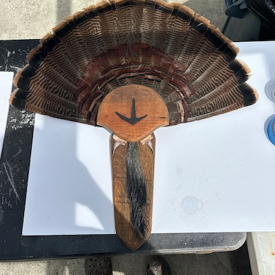 Classic Turkey Fan Mount - Etsy