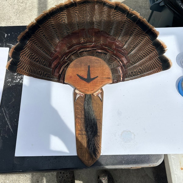 Classic Turkey Fan Mount - Etsy