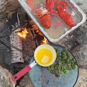 Stainless Steel Grill Mini Fire Anchor. Swing Arm. Outdoor Cooking ...