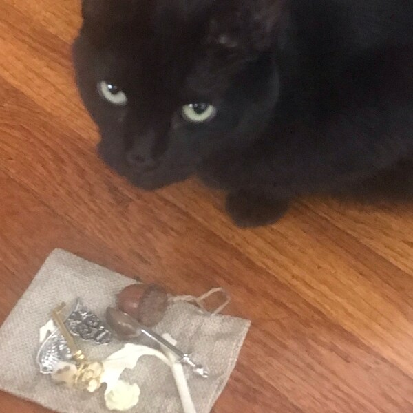 Bone Casting Set (with Guide) - Etsy