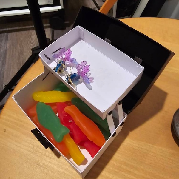 SVG File: 3D Fishing Tackle Box Gift Box / Treat Box / Gift Card Holder ...