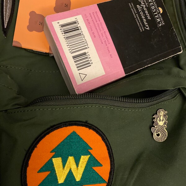 Wilderness Explorer Embroidered Patch, New Embroidered WE - Etsy