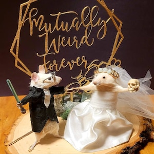 Taxidermy Rat Rasta Taxidermy Anthropomorphic Rat Curiosity - Etsy