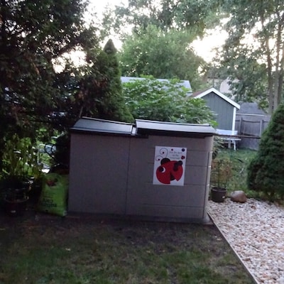 Ladybug Pin the Spots on the Ladybug Birthday Game Instant Download YOU ...