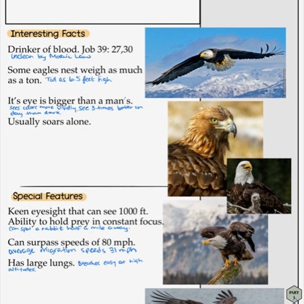 Set JW Study Animals, Characters, Jesus Illustrations Journal, Digital ...