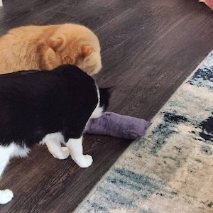 Catnip Buds 4 Oz Bundle / Pure Cat Fun / Made and Organically Grown in ...