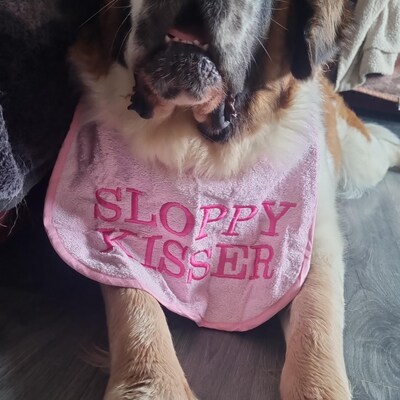 Big Dog Slobber Drool/slobber Bibs 2 Designs - Etsy