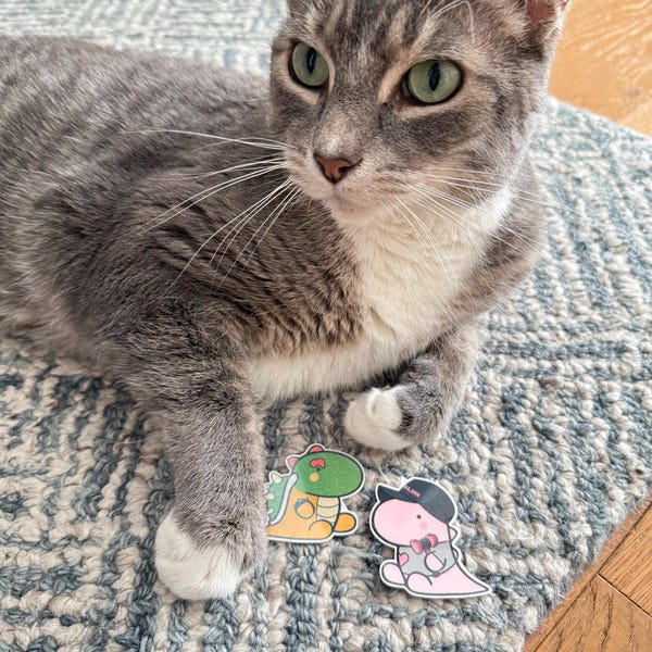 VALORANT Raze Cat Spray Waterproof Holographic Vinyl Sticker - Etsy