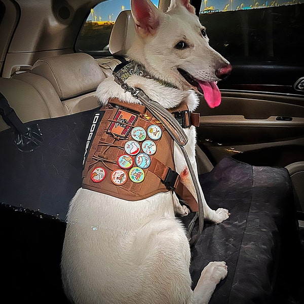 Dog Scout Merit Badge Bundle | Iron-on Patches for Jackets & Bandanas ...